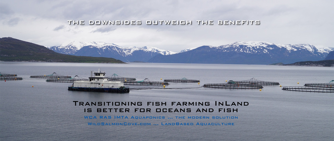Open-Net Pen Fish Farming Reinvented – Wild Salmon Cove LAND-BASED